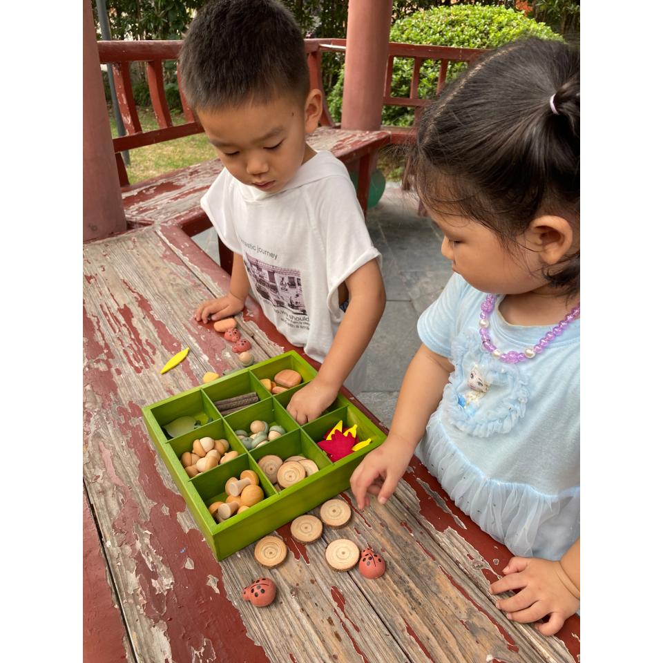 Freckled Frog Nature's Sorting Box | Winc
