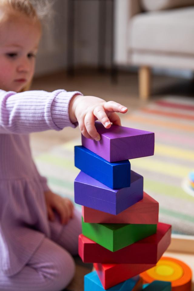 Freckled Frog Sunny Colours 16 Piece Set | Winc