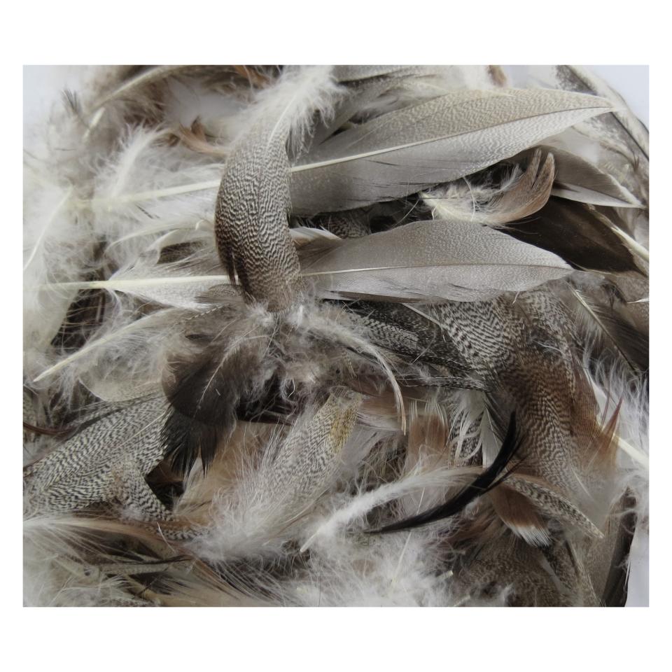 Shamrock Feathers Duck Natural 10 Gram Bag | Winc