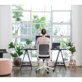 Winc Ambition Quinn Mesh Back Chair | Winc