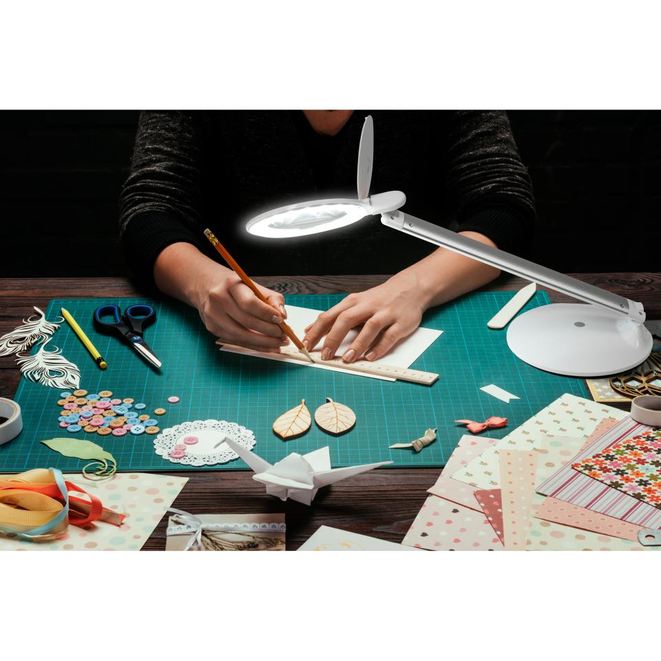 Daylight Halo Go Rechargeable Magnifier | Winc