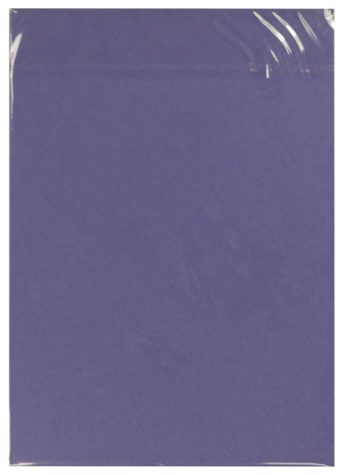 Rainbow Coloured Card 180gsm A4 10 Sheet Purple | Winc