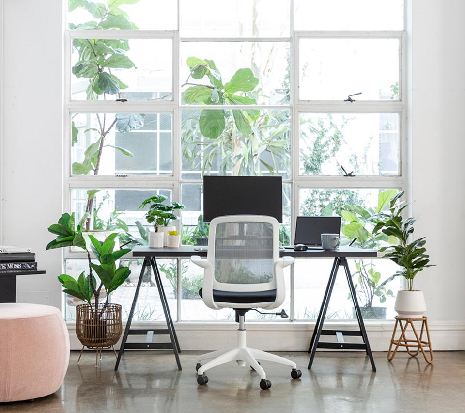 Winc Ambition Quinn Mesh Back Chair | Winc