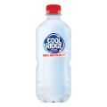 Cool Ridge Spring Water 350ml Carton 24 | Winc