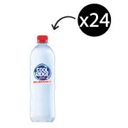 Cool Ridge Spring Water 600ml Carton 24 | Winc