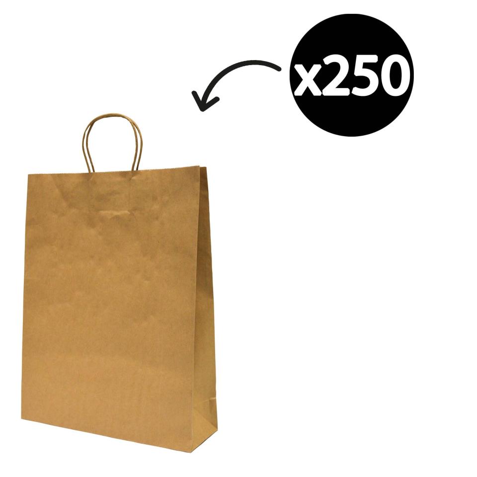 Castaway Paper Delivery Bag Twisted Handles Brown 330x300x180mm Carton ...
