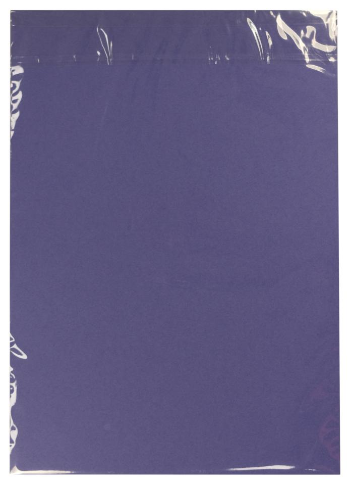 Rainbow Coloured Card 180gsm A3 10 Sheet Purple | Winc