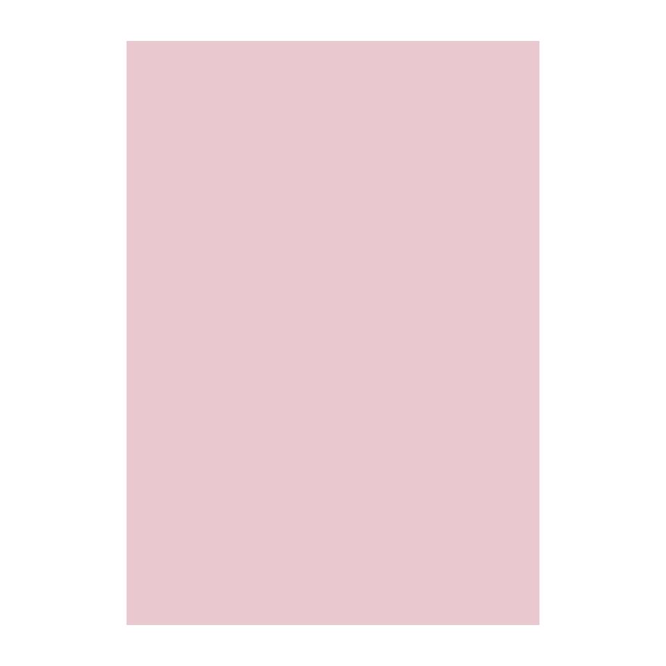 Winc Premium Coloured Copy Paper A3 80gsm Pink Ream 500 | Winc