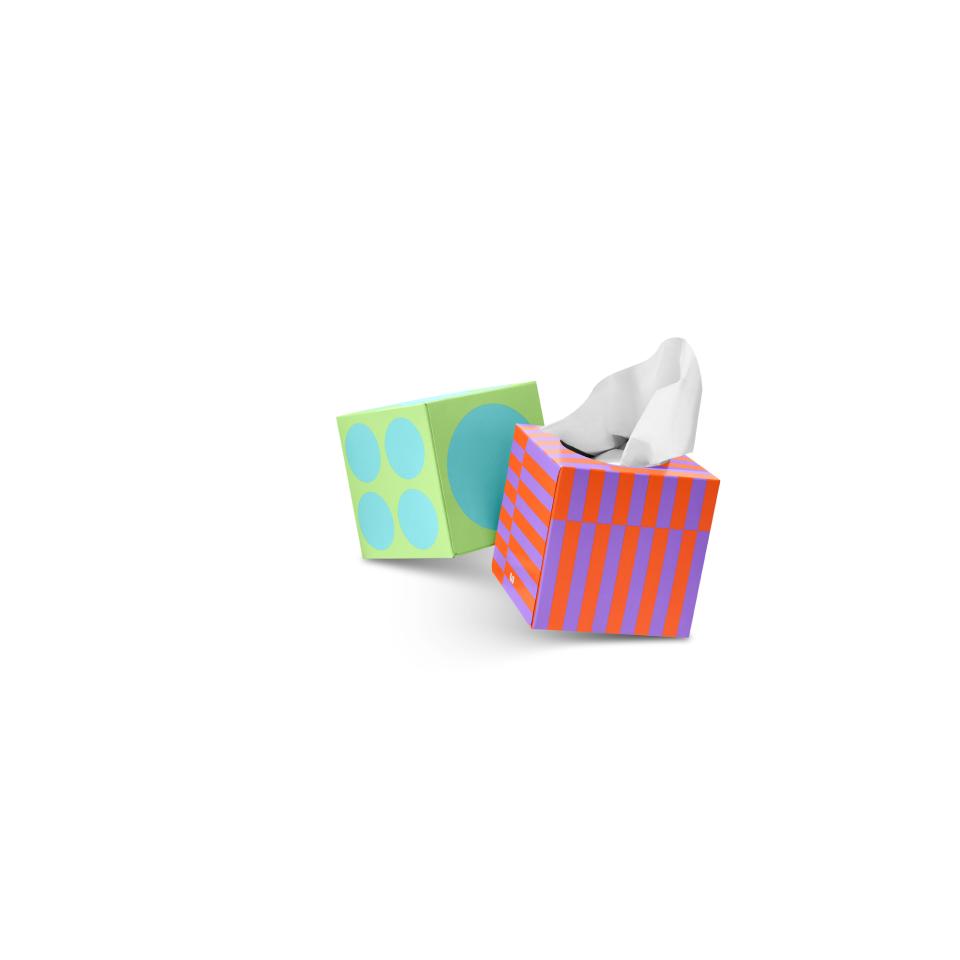 Who Gives A Crap Forest Friendly Tissues 3 Ply 65 Sheets Carton 12 | Winc