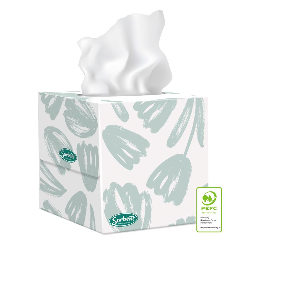 Sorbent Professional Silky White Facial Tissues 2 Ply 90 Sheets Each | Winc